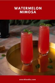 Watermelon Mimosa – A Nerd Cooks