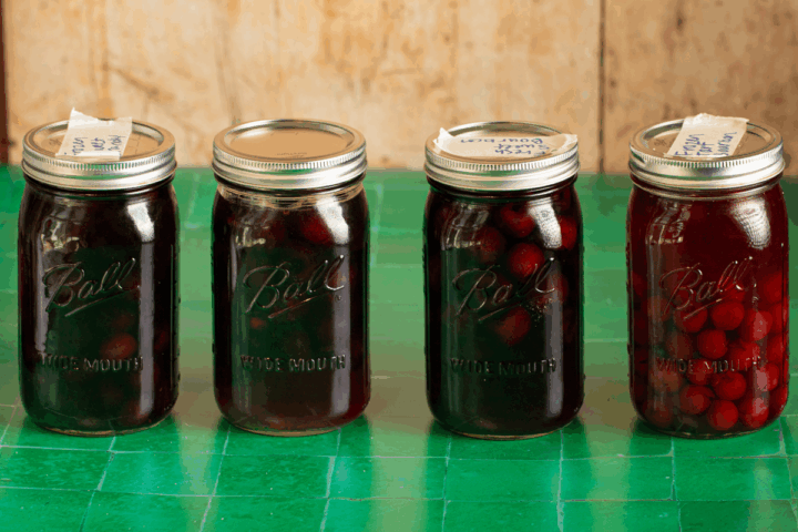 Cherry Bounce – Libations and Lattes